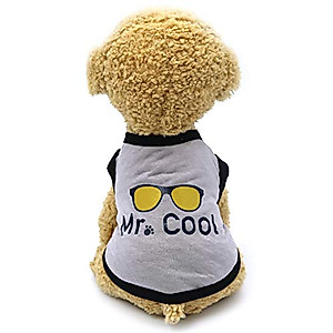 Howstar Pets Warm Coat Clothes Letter Dog Pet Painting Coat Shirt Cat Puppy Pet Clothes Dog for Teacup (Grey, XS)