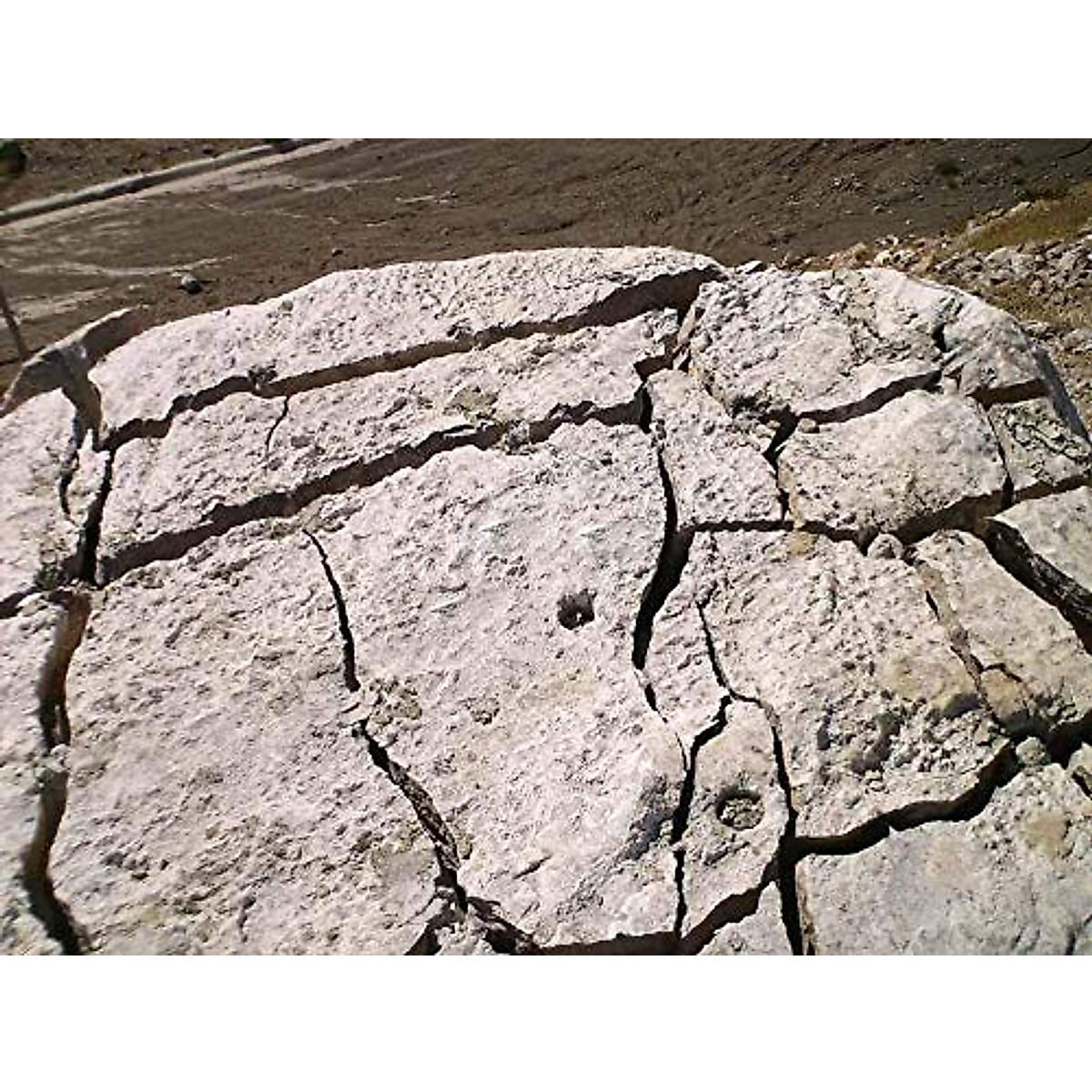 Dexpan Expansive Demolition Grout 44 Lb. Box for Rock Breaking, Concrete Cutting, Excavating. Alternative to Demolition Jack Hammer Breaker, Jackhammer, Concrete Saw, Rock Drill (DEXPAN44BOX2) (50F-77F)