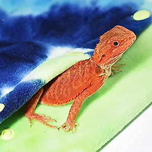 LIKZINWA Small Animal Sling Carrier,Bearded Dragon Carrier Lizard Carrier and Reptile Carrier with Adjustable Strap (Blue-Green)