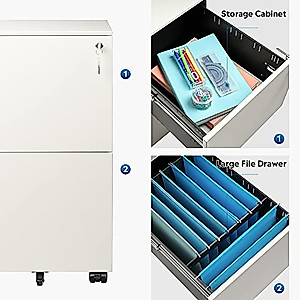DEVAISE 2-Drawer Mobile File Cabinet with Lock, Commercial Vertical Cabinet in White