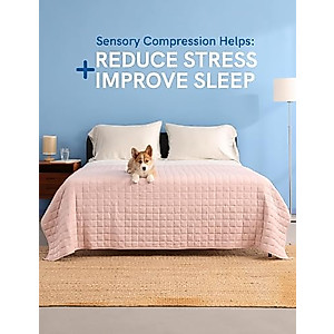 YnM Exclusive Cooling Weighted Blanket, Nylon/PE Fabric, Smallest Compartments with Glass Beads, Bed Blanket for One Person of 140lbs, Ideal for Queen/King Bed (60x80 Inches, 15 Pounds, Violet Pink)