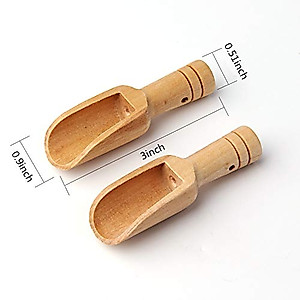 sansheng Small Wooden Scoops, Little Wooden Spoons for Jars/Bath Salts(12PCS)3 inches long