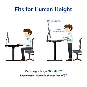 FLEXISPOT EC1 Essential Adjustable Desk, Electric Standing Desk Sit Stand Desk (55x28, Gray Frame+Graphite)