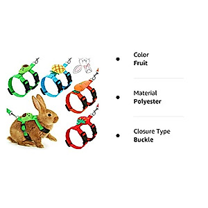 4 Sets Adjustable Bunny Rabbit Harness and Leash Set Small Pet Cute Vest Harness Leash Ferret Harness Guinea Pig Harness Ferret Leash with Decorations for Bunny Kitten Puppy, Small Pets (Fruit)