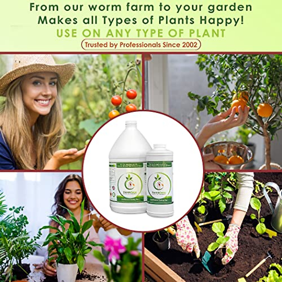 VermisTerra Earthworm Casting Tea - Organic Worm Tea - Gallon - Soil Conditioner Concentrate - Living Enzymes, Nourish Plants and Boost Growth - Feeds All Crops: Vegetables, Flowers, Fruit and Trees