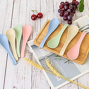 8 Pcs Plastic Spoon Dinner Spoons, Lnrkai Portable Reusable Soup Spoon Reusable Multicolor Lightweight Durable Spoon Dishwasher & Microwave Safe for Gift Set (8PCS)