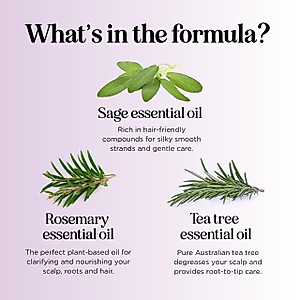 Sage and Rosemary Shampoo Sulfate Free - Sage Oil Clarifying Shampoo for Build Up and Scalp Moisturizer - Oily Hair Shampoo for Greasy Hair and Dry Scalp Treatment with Essential Oils for Hair