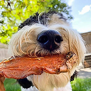 Sweet Potato Slices For Dogs - Single Ingredient Grain Free Dog Treats, Best High Anti-Oxidant Healthy 100% Natural Thick Cut Dried Sweet Potato Dog Treats With No Added Preservatives (2lb)