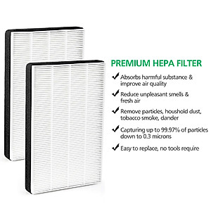 LINNIW 2 Pack F2 A2 True HEPA Replacement Filter Compatible with 3M Filtrete Room Air Purifier Models FAP-C02WA-G2 FAP-C03BA-G2 FAP-T03BA-G2 FAP-SCO2N FAP-CO2-A2 FAP-CO3-A2 FAP-TO3-A2