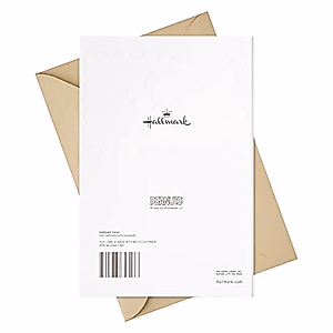 Hallmark Anniversary Card (Peanuts Vignette) (0399RZB1111)