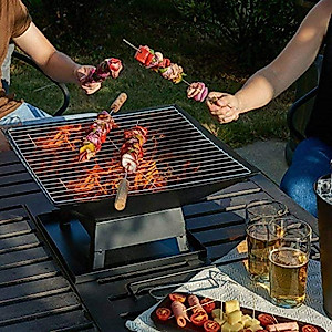 LEAYAN Garden Fire Pit Grill Bowl Grill Barbecue Rack Outdoor Fire Pit Stainless Steel BBQ Grill Small Fire Stove Heater Ideal for Warmth, BBQ in Patio/Garden/Yard