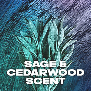 AXE Wash & Care 2-in-1 Shampoo & Conditioner Apollo Wash & Care 4 Count for Clean & Strong Hair Sage & Cedarwood 100% Recycled Bottle 28 oz