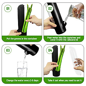 woodounai 2 Pcs Herb Saver for Refrigerator Cilantro Container for Fridge Fresh Herb Keeper Herb Storage Fridge Organizer for Cilantro Mint Parsley Asparagus Vegetables Fruit (White & Black)