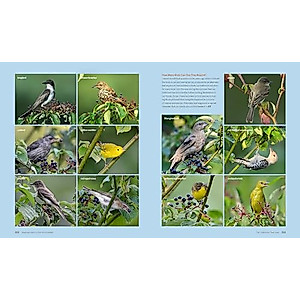 The Living Landscape: Designing for Beauty and Biodiversity in the Home Garden