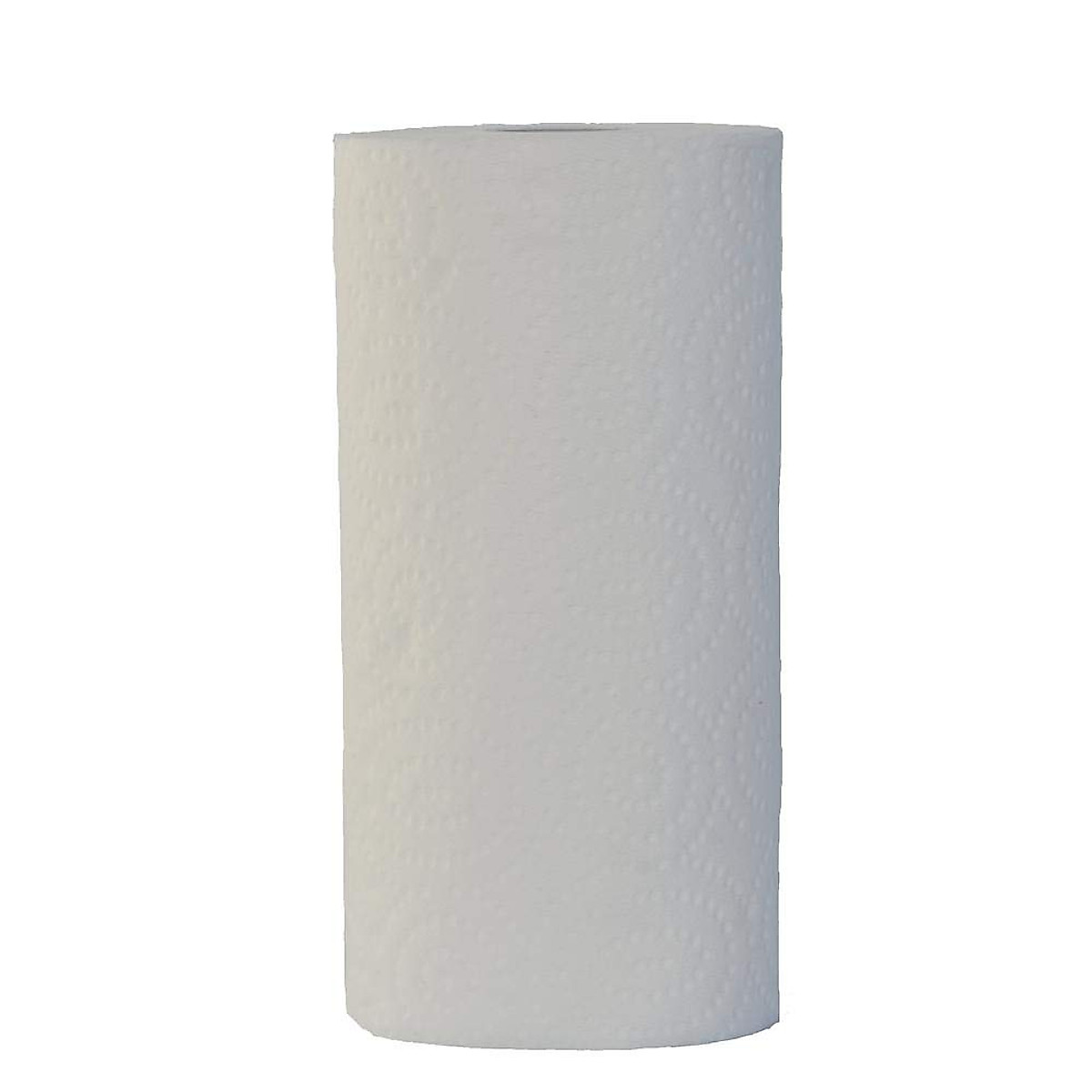 HDX Paper Towels (12-Roll)