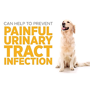 maxxipaws UTI Calm Bundle – maxxiUtract Urinary and Bladder Support for Dogs & maxxicalm Canine Calming Supplement