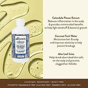 Allyoos A Quick Clean, Hair Rinse, Removes Sweat, Oil & Buildup From Scalp & Hair, No Suds, Dry Shampoo Alternative, Balances Scalp, Sulfate-Free