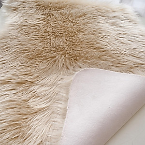 EasyJoy Ultra Soft Fluffy Shaggy Area Rug Faux Fur Rug Chair Cover Seat Pad Fuzzy Area Rug for Bedroom Floor Sofa Living Room (2 x 3 ft Sheepskin, Beige)
