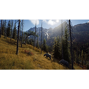 Way of The Hunter for Xbox Series X