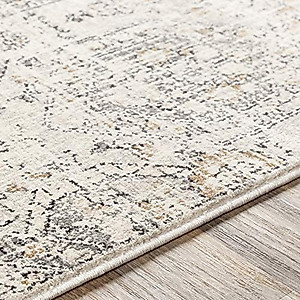 Artistic Weavers Aune Updated Traditional Area Rug 7'10" x 10'2",Grey