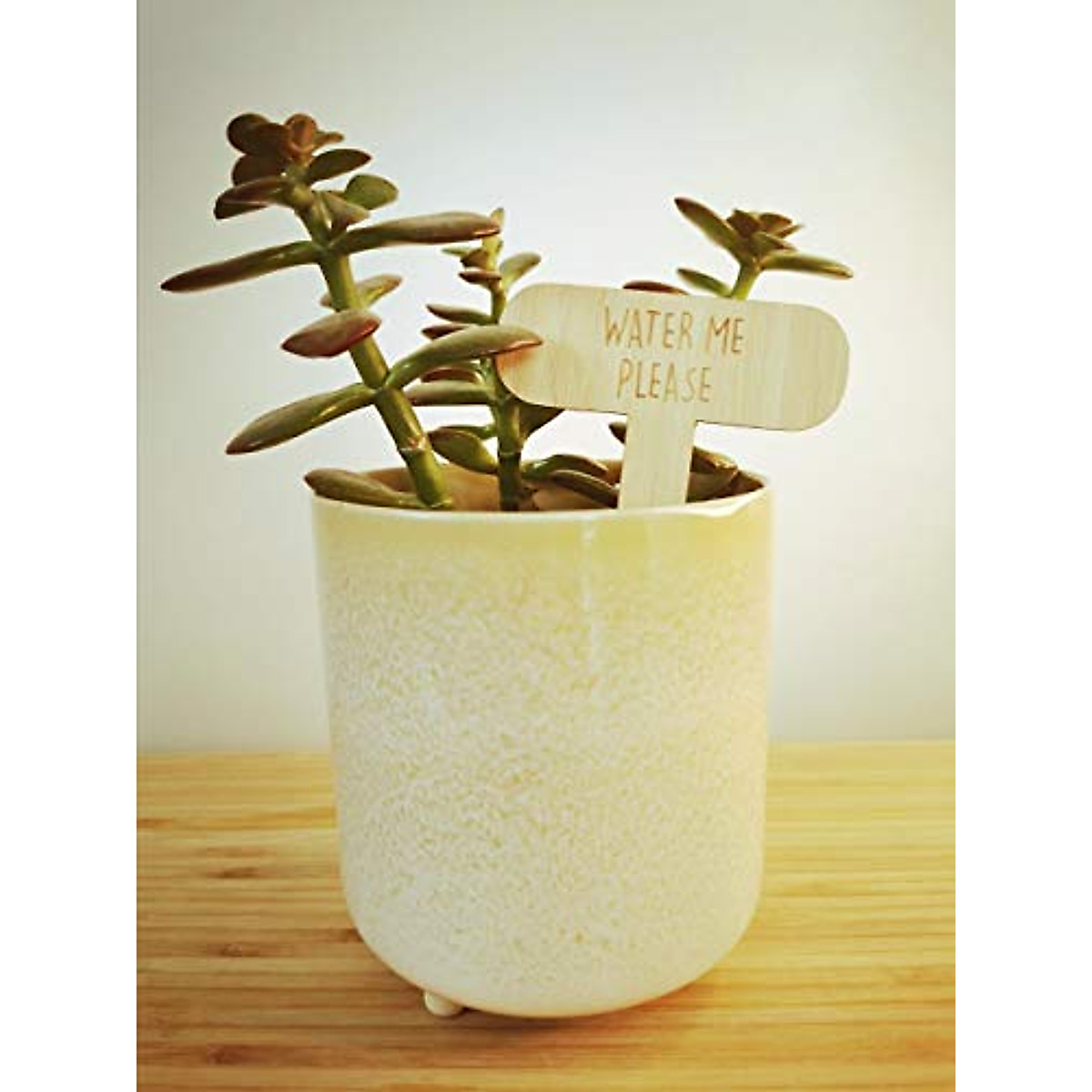 Funny Plant Markers - Joke Punny Garden Stakes - Ideal for That Garden Lover - Indoor Outdoor Plant Label Sign Markers (Joke Set)