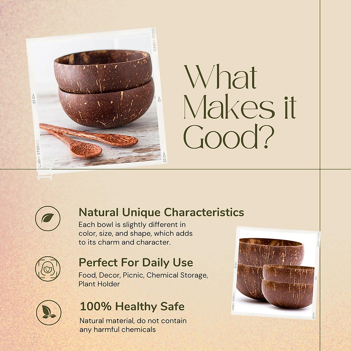 Natural Craft Coconut Bowls and Spoons set (Set of 4)