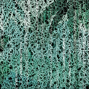 Door mat Welcome Outdoor Door Mat Summer Green Banana Leaves Foliage,Non-Slip Doormat Heavy Duty Patio Rug Pad Rain Tropical Leaf Plant,Dirt Mud Trapper for Entryway Kitchen Living Room 18x30In