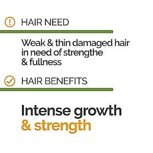 Novex Bamboo Sprout Shampoo, 10.14 oz - Rebuilds, Repairs, Stimulates Growth for Thin, Thinning Hair