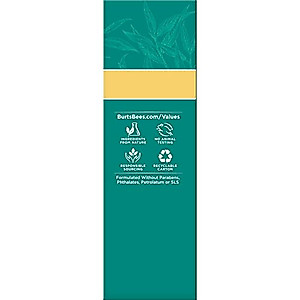 Burt's Bees Natural Acne Solutions Maximum Strength Spot Treatment Cream for Oily Skin, 0.5 Oz (Package May Vary)