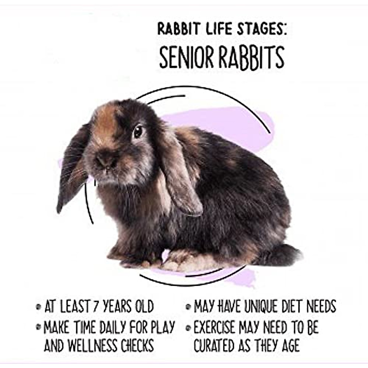 RANDOLPH Rabbit Food Care 70 g. MONOLAURIN LAULIN Acid High Protection Formula Rabbit Vitamin & Mineral Probiotics Improved Digestion Best Prevent Healthy for All Small Animal Bunny Food Rabbit Feed