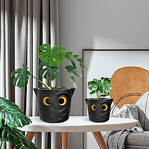 Restmo 3 Pack Plant Pots, 5” Self Watering Planters for Indoor Plants, Plastic Flower Pots with Owl Eye Water Level Indicator, for House Plants, African Violet, Succulents, Monstera, Dark Black