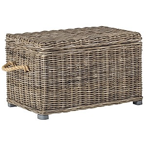 Safavieh Home Collection Salim Grey Rattan Storage Trunk