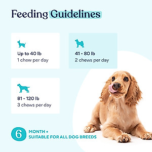 Pawfy Eye Support Soft Chews | Prevent Tear Stains | Support Eyesight | Overall Eye Health | with Luthein, Krill Oil & Astaxanthin