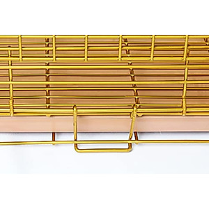 HOMEY PET Gold Dog Crate 36 Inch, Portable Folding Metal Wire Dog Kennel Pet Dog Cage with Removable Floor Grid, Pull Out Leak-Proof Pan, Double Doors, Handle for Medium Dogs, Indoor Outdoor Travel