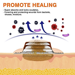 Carbou Silicone Sacrum Foam Dressing, 9''x9''(23cm x23cm) Bordered Silicone Adhesive Sacral Foam Dressing,Silicone Wound Care Products,Box of 5 Dressings