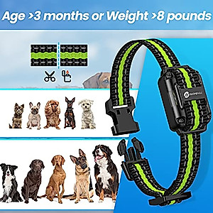 Dog Training Collar with 7 Training Modes, 2600Ft Remote Electronic Dog Shock Collar, Electric Shock Collar for Small Medium Large Dogs (Black Green)
