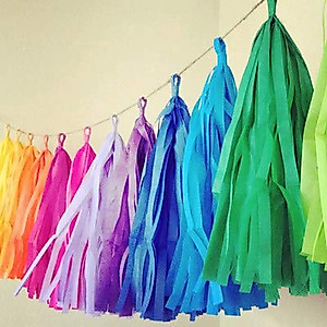 Binpeng 14in 21pcs Rainbow Paper Tassel DIY Hanging paper decorations Party Garland Decor for Party Decorations Wedding,Festival,Baby Shower Decoration 21PCS (Rainbow Tassels 7 Colors 21 PCS)