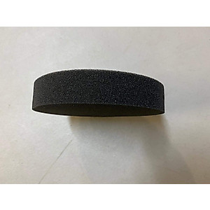 Replacement Part For Bissell 1700, 1701 Vacuum Cleaner PreMotor Filter # compare to part 1608225