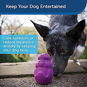 PetSafe Busy Buddy Squirrel Dude Dog Toy - Treat Dispensing Toy – Extra Small, Small, Medium and Large Sizes