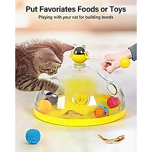 HOPET Interactive Cat Toy for Indoor Cats, Catnip Balls Roller Tracks Exercise Balls Teaser, Kitten Feeder Stimulation Toys Gifts for Pets Cats Lover Women Men