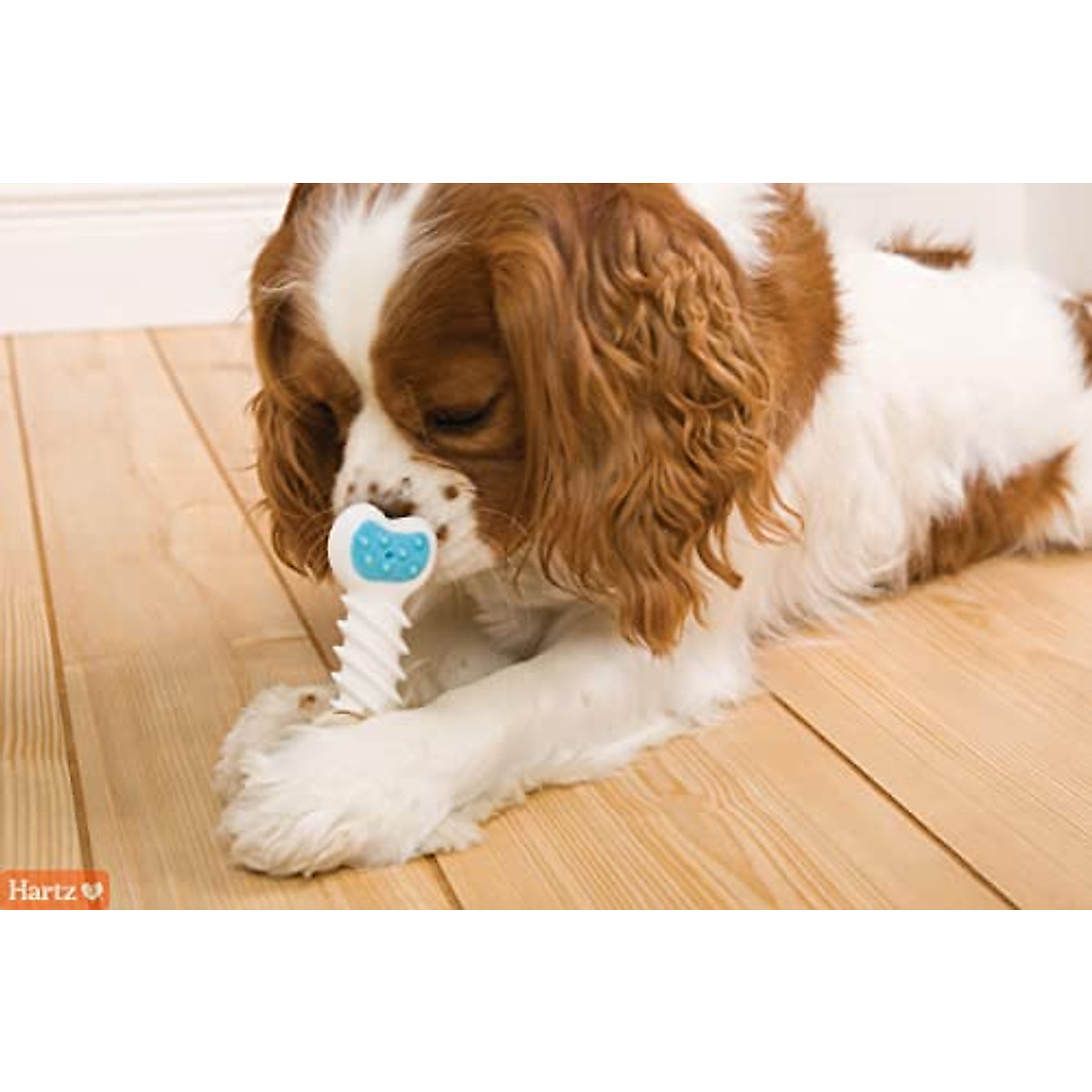 Hartz Chew ‘n Clean Twisty Bone Dog Chew Toy, Bacon Scented for Moderate Chewers, Extra Small