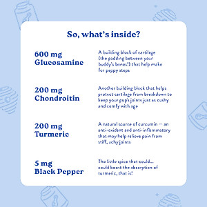 Bocce's Bakery Hip & Joint Supplement for Dogs, Daily Chews Made in The USA with Glucosamine, MSM, and Chondroitin, Supports Healthy Joints, Peanut Butter & Honey, 60 ct