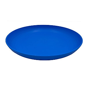 YUYUHUA Kids Plastic Plates Reusable – Unbreakable Everyday Dinner Plates 8 inch set of 6 - BPA Free Dishwasher & Microwave Safe Hard Plates for Kitchen, Party, Camping, Outdoor