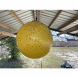 Gnat Ball Deluxe Complete Kit - Gnats, House Fly, No-See-Um, Aphids whiteflies, and Love Bug Trap