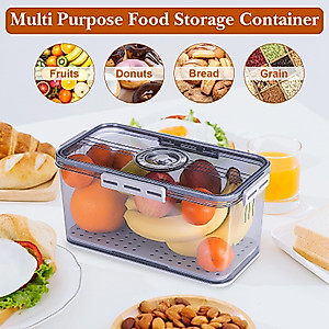 ANYPROLUS Bread Box for Homemade Bread, Bread Boxes for Kitchen Counter Airtight, Time Recording Bread Storage Container with Lid, Bread Containers Storage Airtight Loaf Bread Keeper, Grey