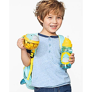 Skip Hop Toddler Sippy Cup with Straw, Zoo Straw Bottle, Shark