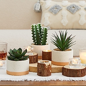 ASTRIDIA Artificial Succulent Plants in Ceramic Pots, Faux Assorted Succulents Fake Cactus Plants for Home Decor, Bedroom, Office, Desk, Living Room, Set of 3…