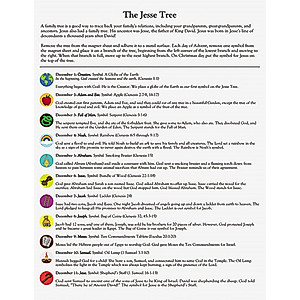 Advent Jesse Tree Devotional Flexible Magnet Set with Explanation Story Card, 10 1/2 Inch