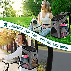 PetAmi Premium Pet Carrier Backpack for Small Cats and Dogs | Ventilated Design, Safety Strap, Buckle Support | Designed for Travel, Hiking & Outdoor Use (Heather Gray)