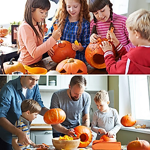 Ninonly Pumpkin Carving Kit, Professional 17Pcs Stainless Steel Pumpkin Knives Tools with Carrying Bag Pumpkin Carver Pumpkin Sculpting Set for Adults Kids Halloween Party Decorating Jack-O-Lanterns